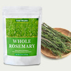 herbal tea ingredient rosemary sprigs