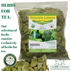 herbal tea made from soursop leaves