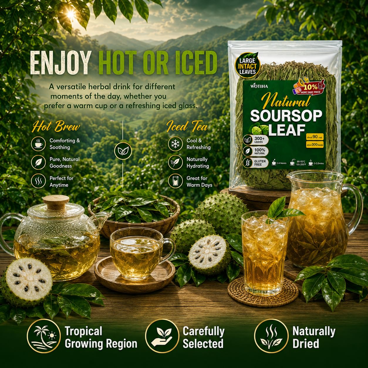 Herbal tea made from soursop leaves
