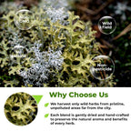 herbal tea rich in nutrients