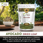 herbal tea with avocado leaves