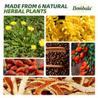 herbal tea with dandelion benefits