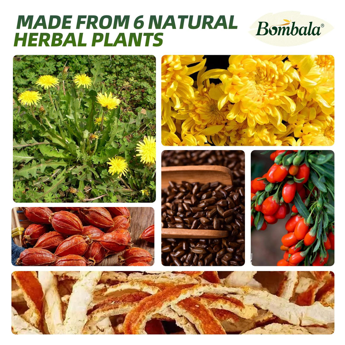 herbal tea with dandelion benefits