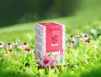 herbal tea with echinacea benefits