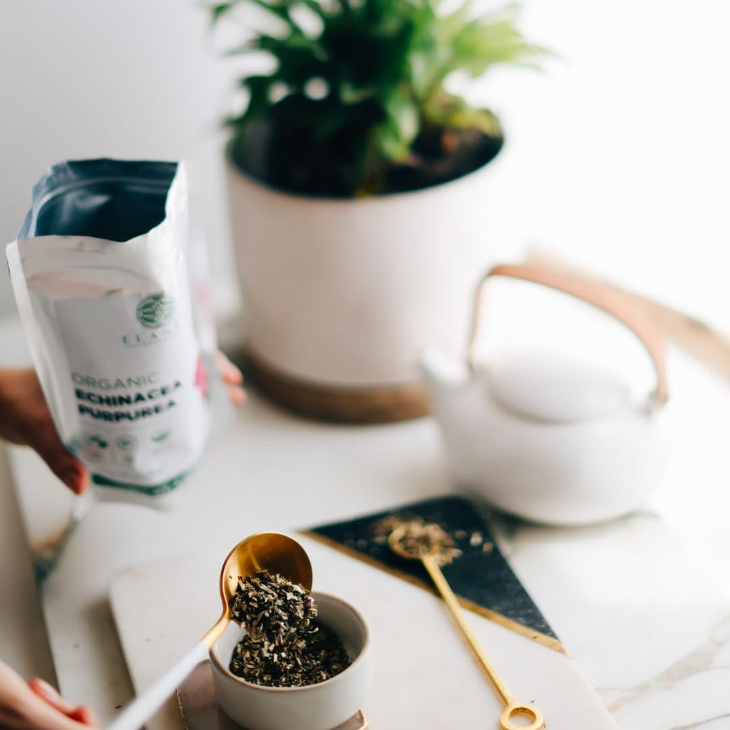 herbal tea with echinacea for colds