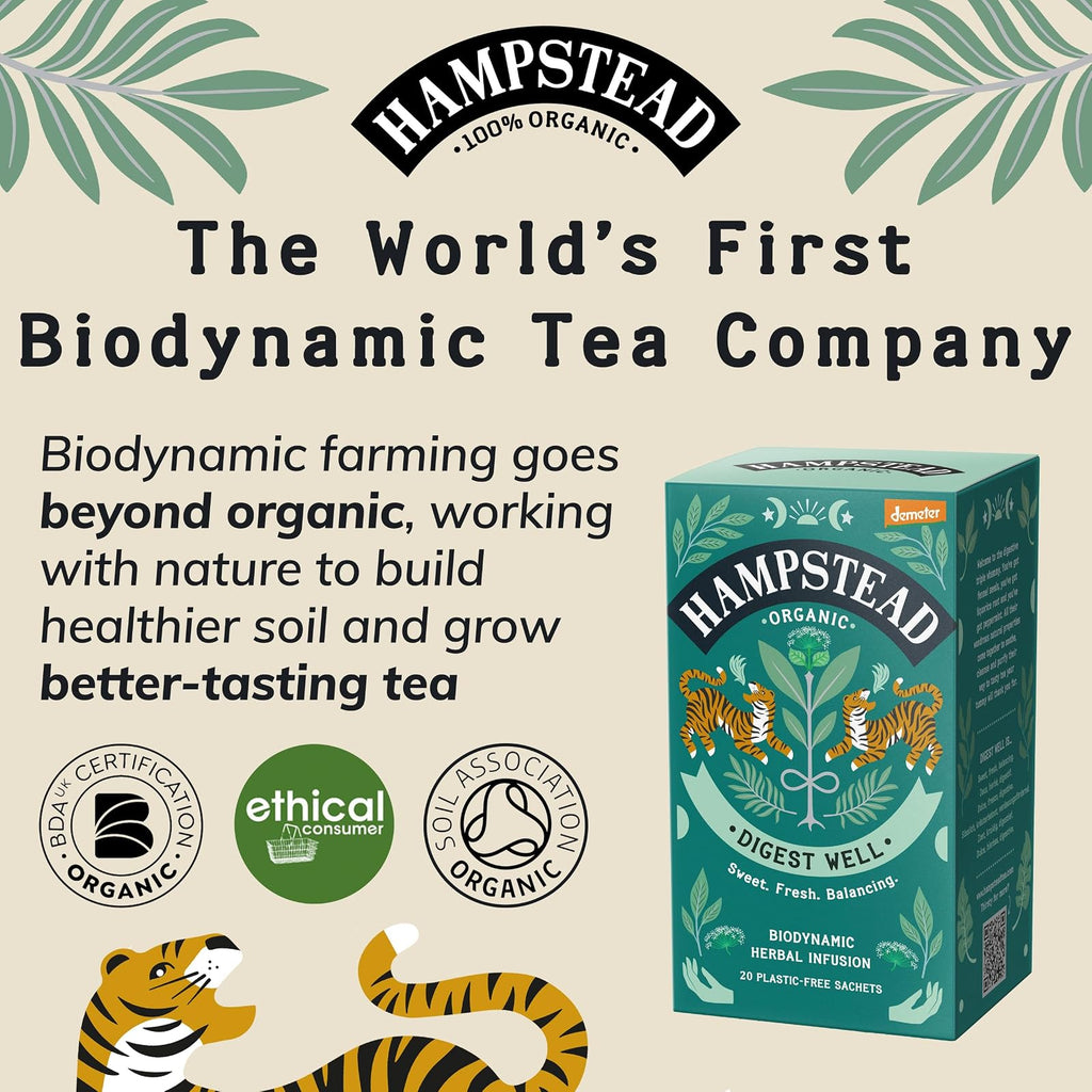 herbal tea with fennel and liquorice