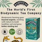 herbal tea with fennel and liquorice
