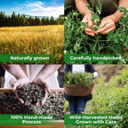 herbal tea with galium aparine benefits