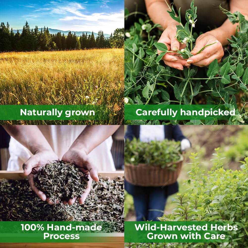 herbal tea with galium aparine benefits