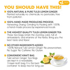 herbal tea with lemon and ginger