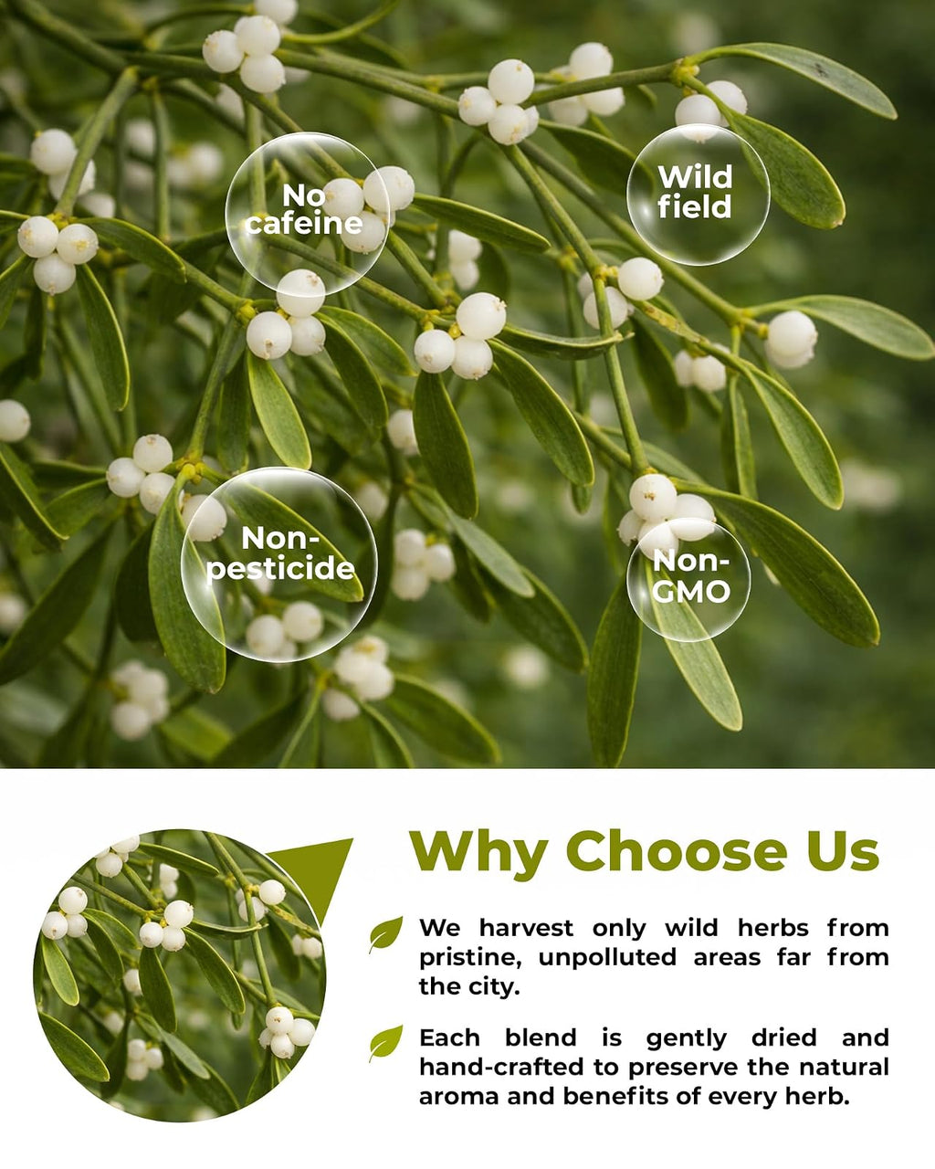 Herbal tea with mistletoe extract