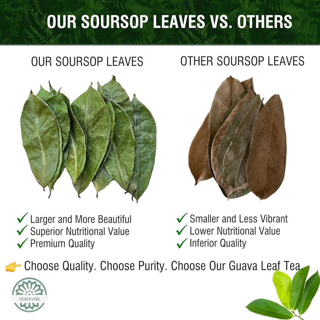herbal tea with soursop benefits