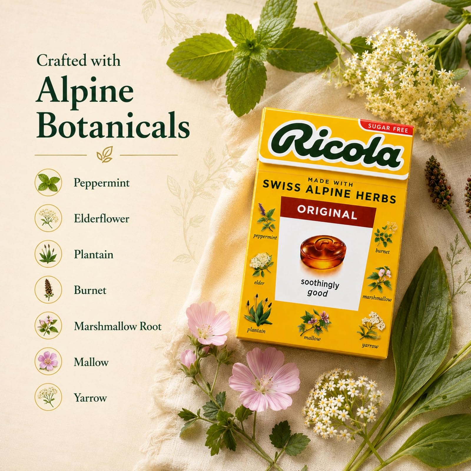 herbal tea with Swiss herbs