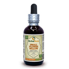 Herbal Terra Echinacea tincture benefits