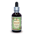 Herbal Terra Umckaloabo glycerite extract
