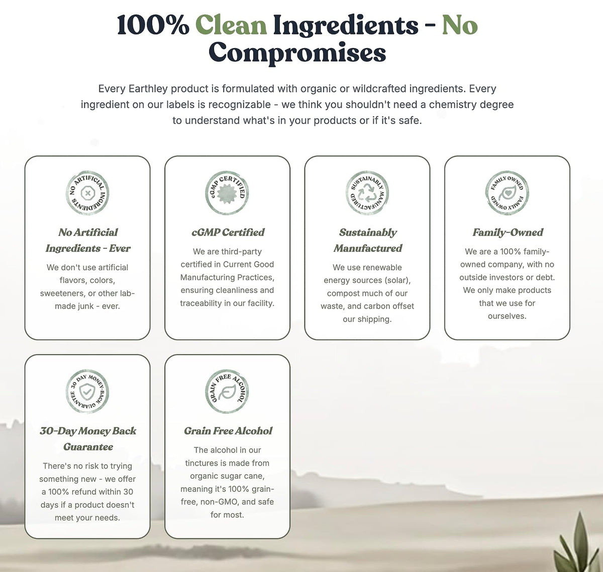 herbal tincture for balanced gut flora