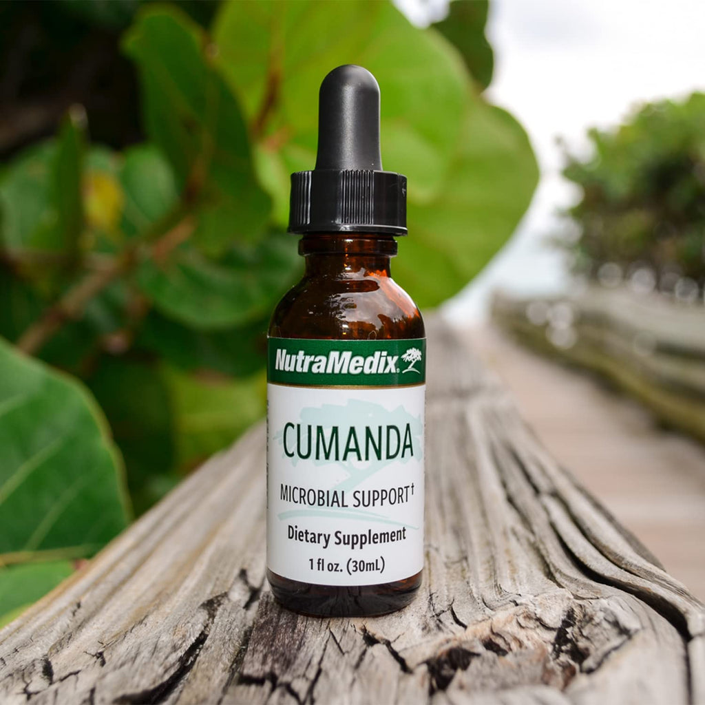 herbal tincture for gut balance
