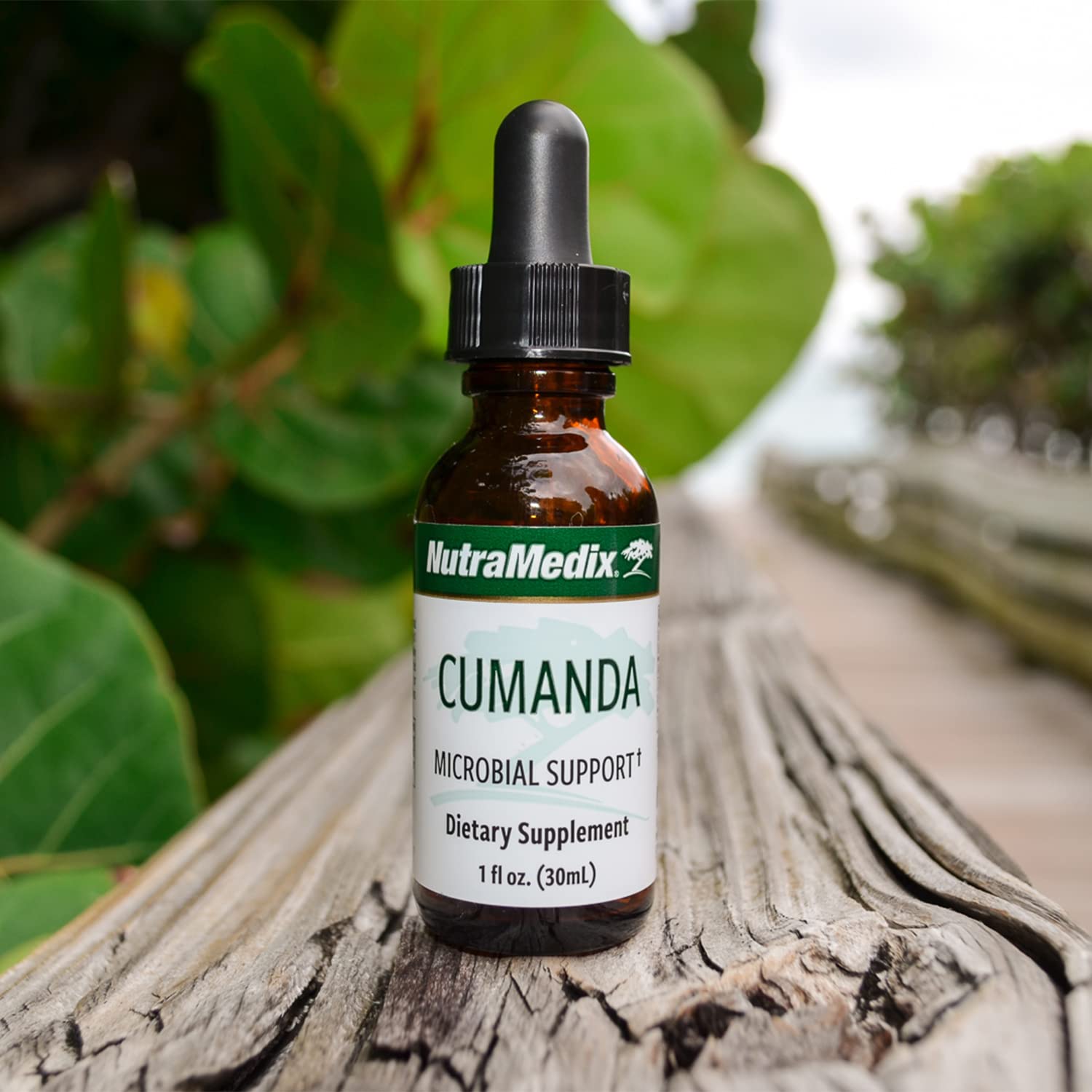 herbal tincture for gut balance