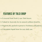 herbal Tulsi extract for holistic health