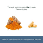 herbal turmeric capsules for digestive support