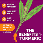 herbal turmeric curcumin beverage