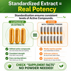herbal turmeric curcumin extract capsules