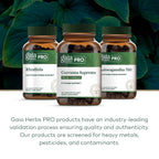 herbal turmeric curcumin for wellness