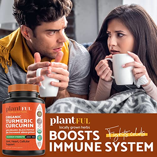 herbal turmeric supplement for daily use