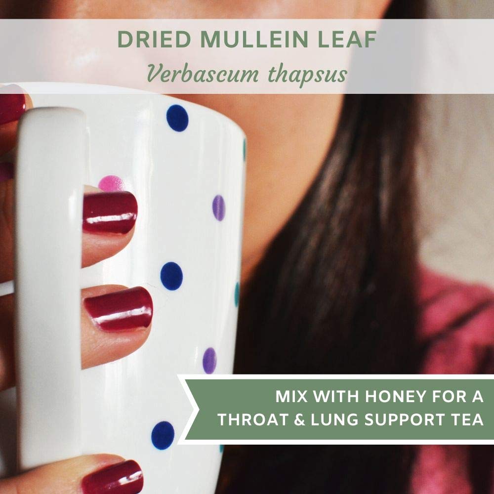 herbal use of mullein leaves