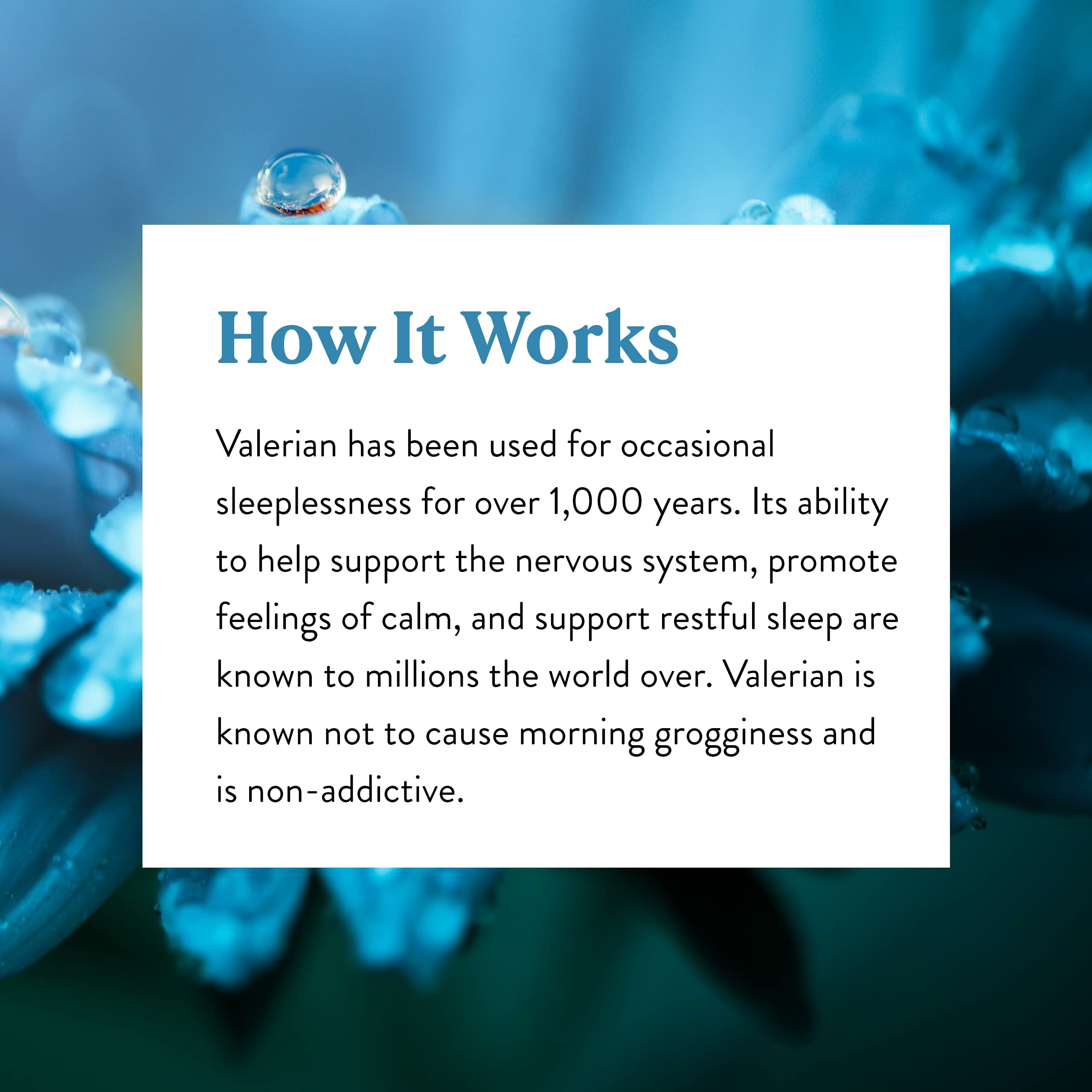 herbal valerian for improved sleep support