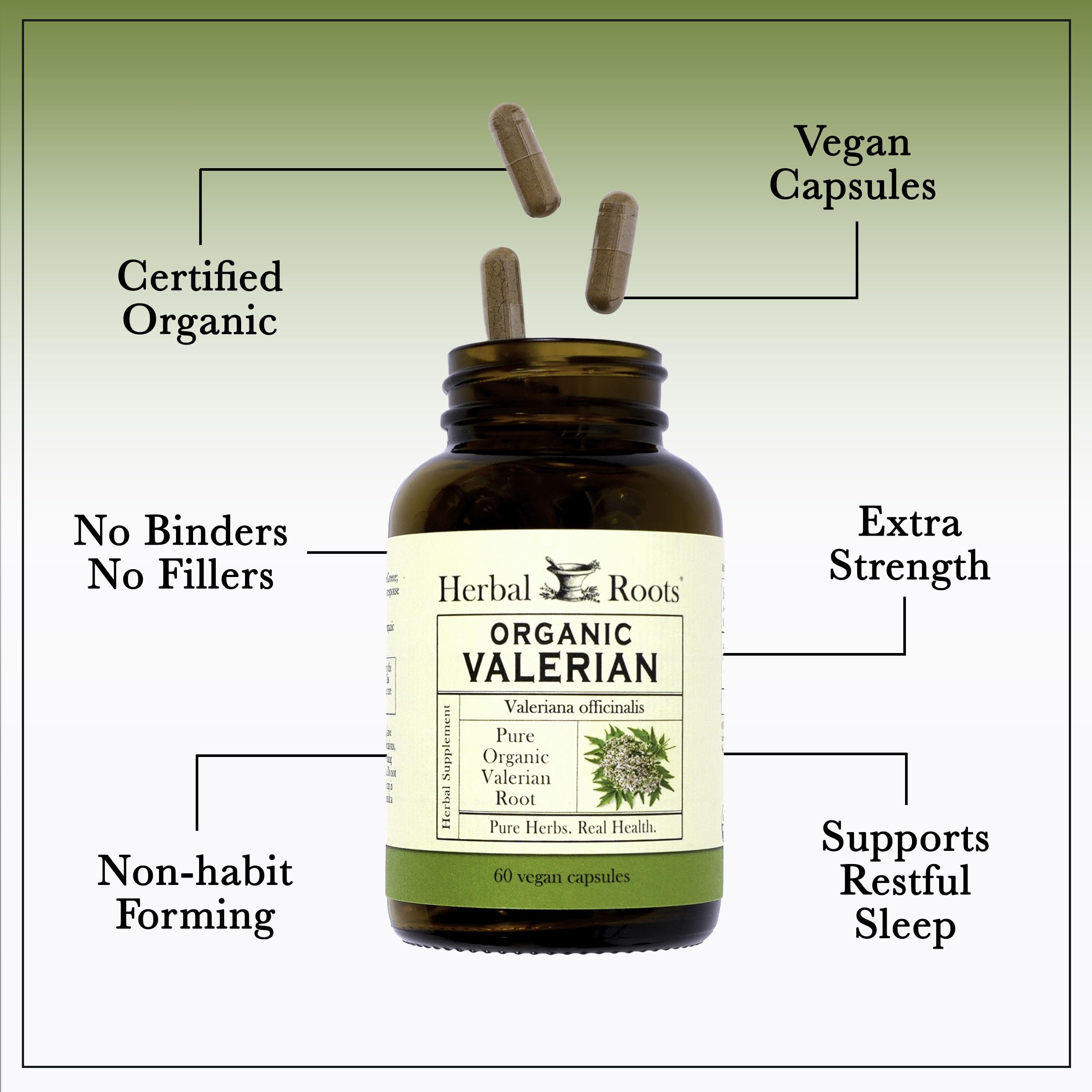 herbal valerian root benefits