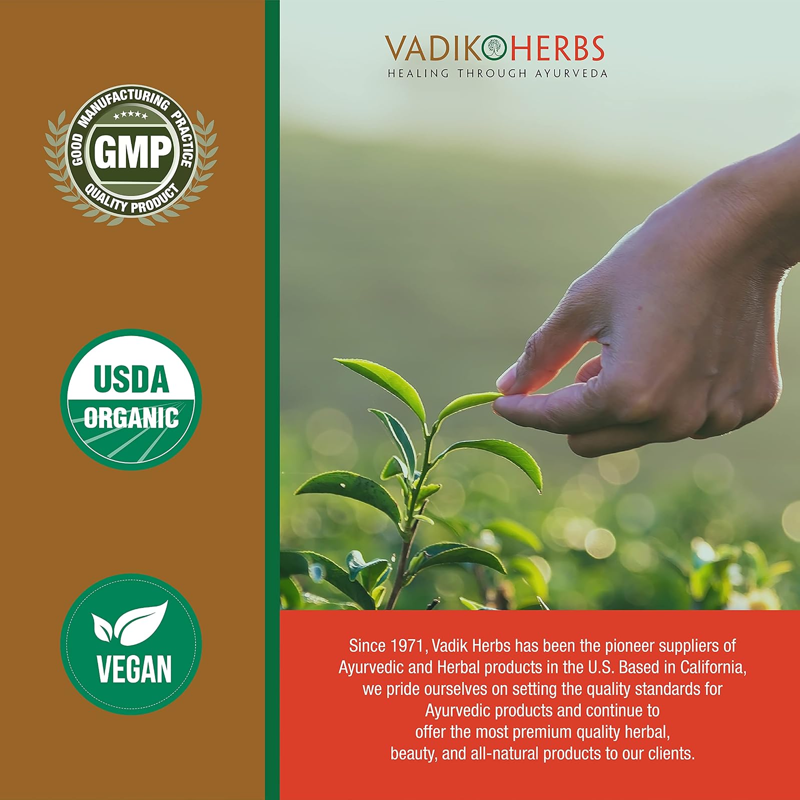 Herbal vitamin A source from Vadik Herbs