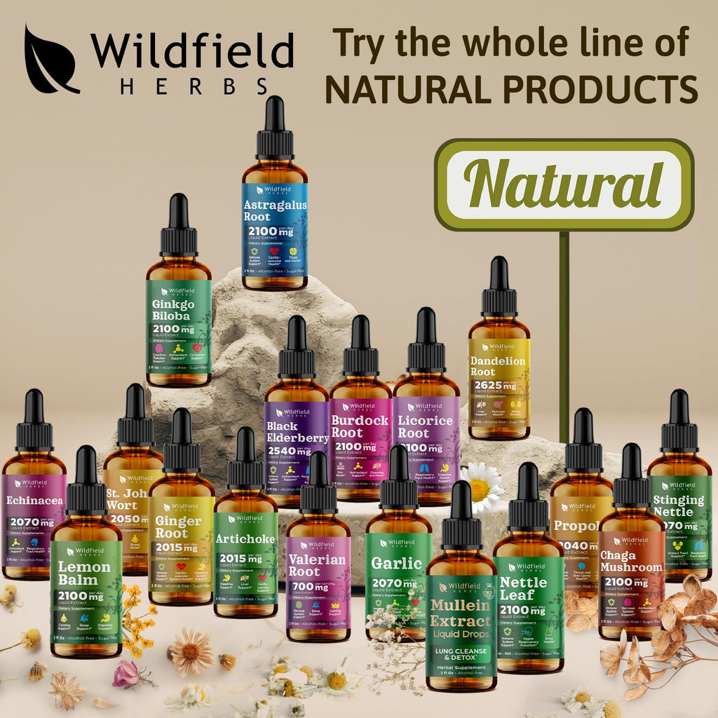 Herbal wellness with chaga mushrooms