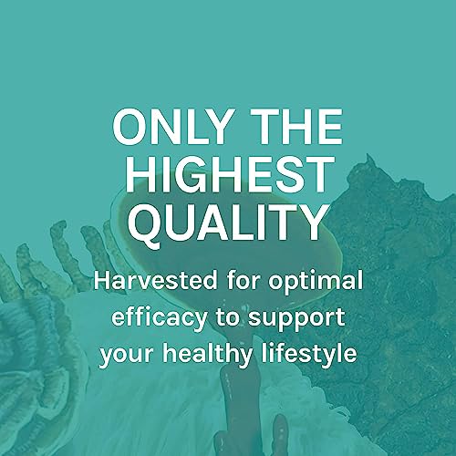 herbal wellness with mushroom extracts