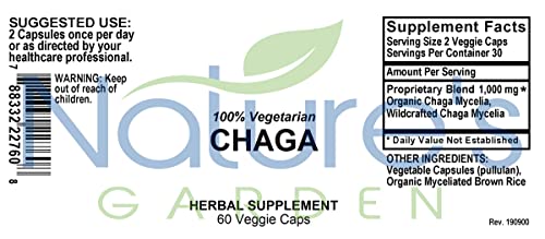 herbal wellness with vegan mushroom capsules