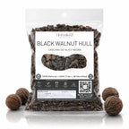 Herbalista Black Walnut Hull tea