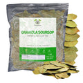 Herbalista dried graviola soursop leaves