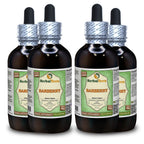 HerbalTerra Barberry Glycerite benefits