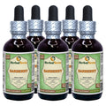 HerbalTerra Barberry Glycerite liquid extract