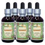 HerbalTerra Barberry Glycerite liquid extract