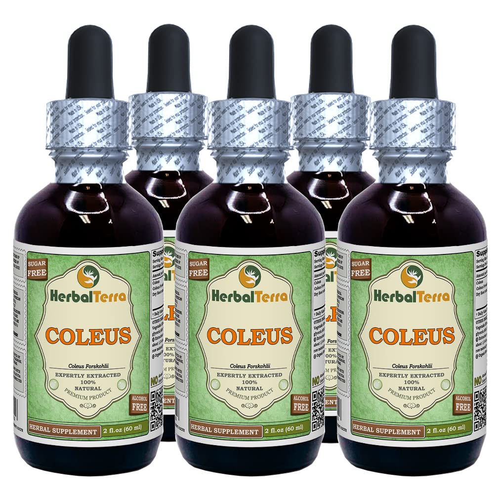 HerbalTerra Coleus Forskohlii glycerite benefits