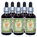 HerbalTerra echinacea liquid extract