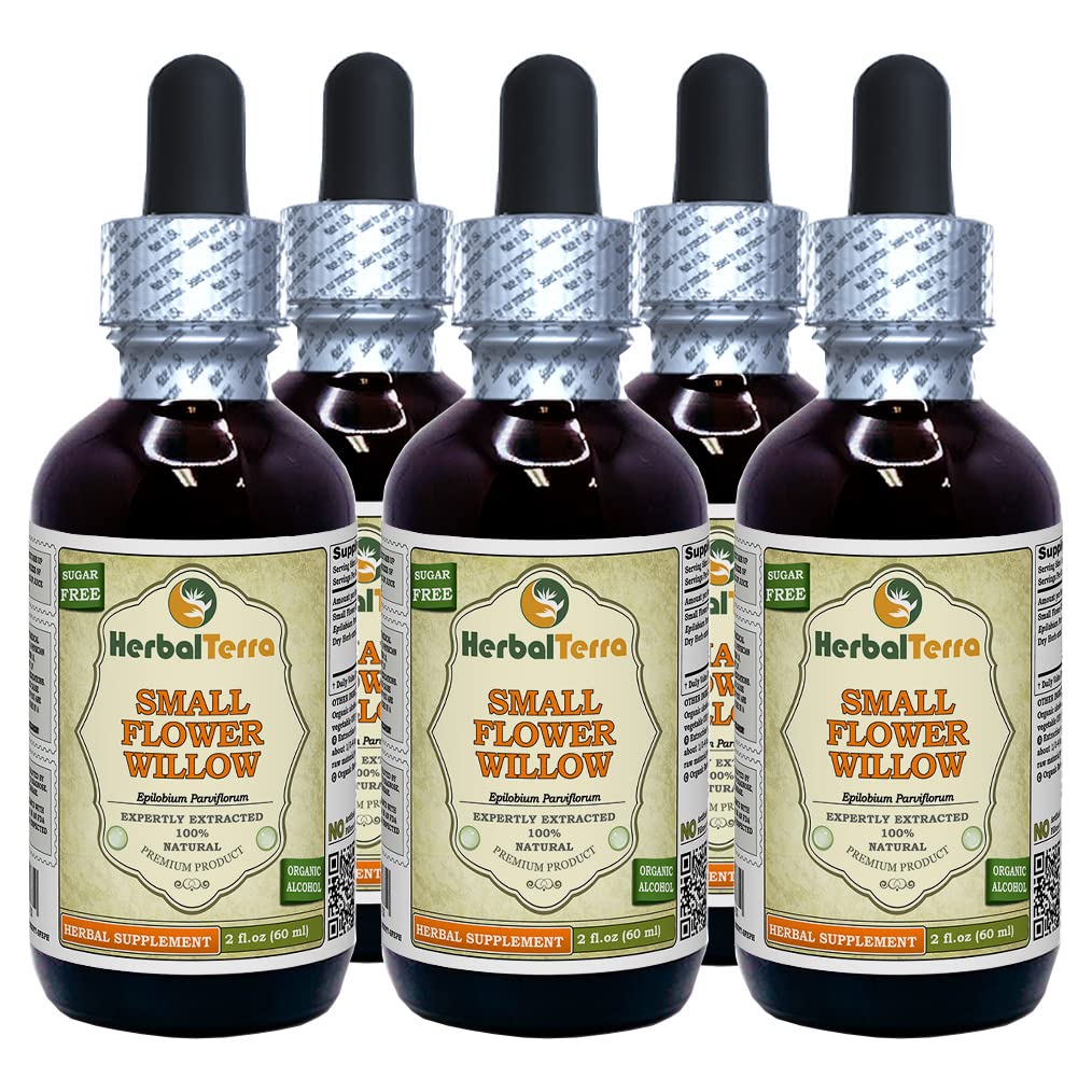 HerbalTerra Echinacea tincture for immunity