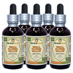 HerbalTerra Echinacea tincture for immunity