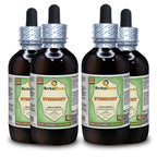 HerbalTerra Eyebright Glycerite benefits