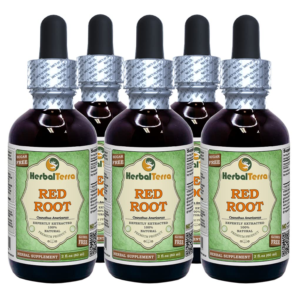 HerbalTerra Red Root Glycerite benefits