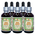 HerbalTerra Red Root Glycerite benefits