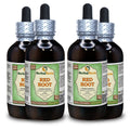 HerbalTerra Red Root Glycerite benefits
