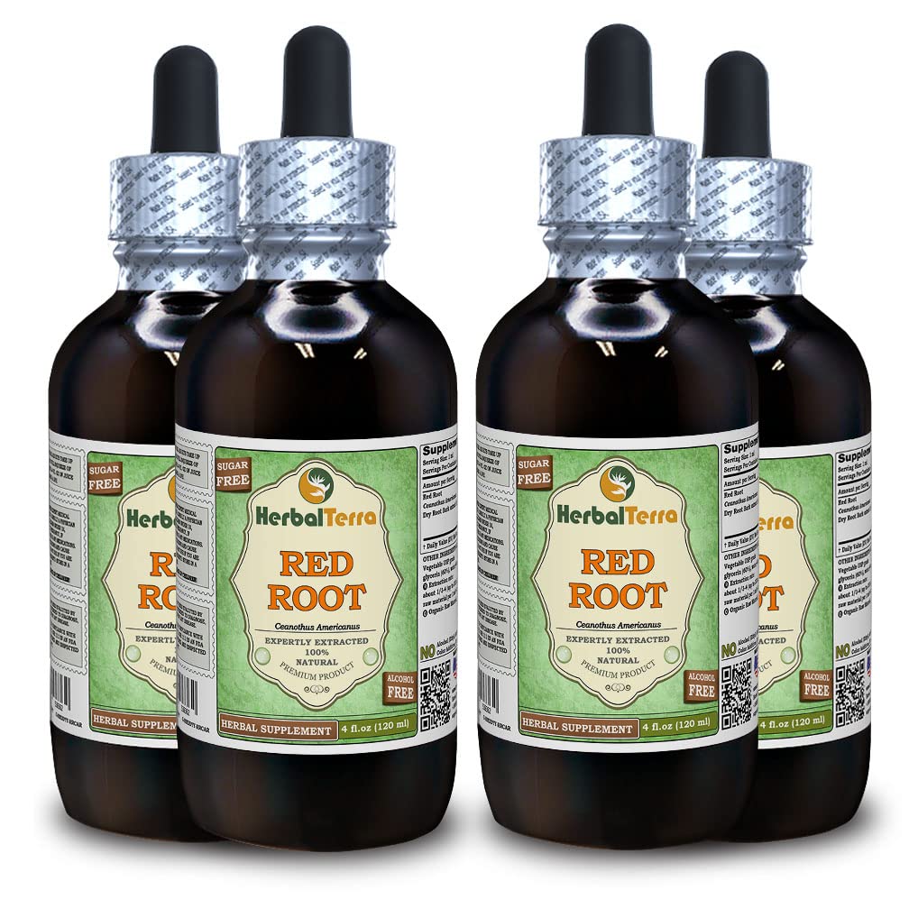 HerbalTerra Red Root Glycerite benefits