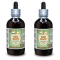 HerbalTerra Red Root Glycerite benefits